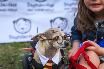 Winner-of-costume-contest-Harry-Potter – The Porch Press